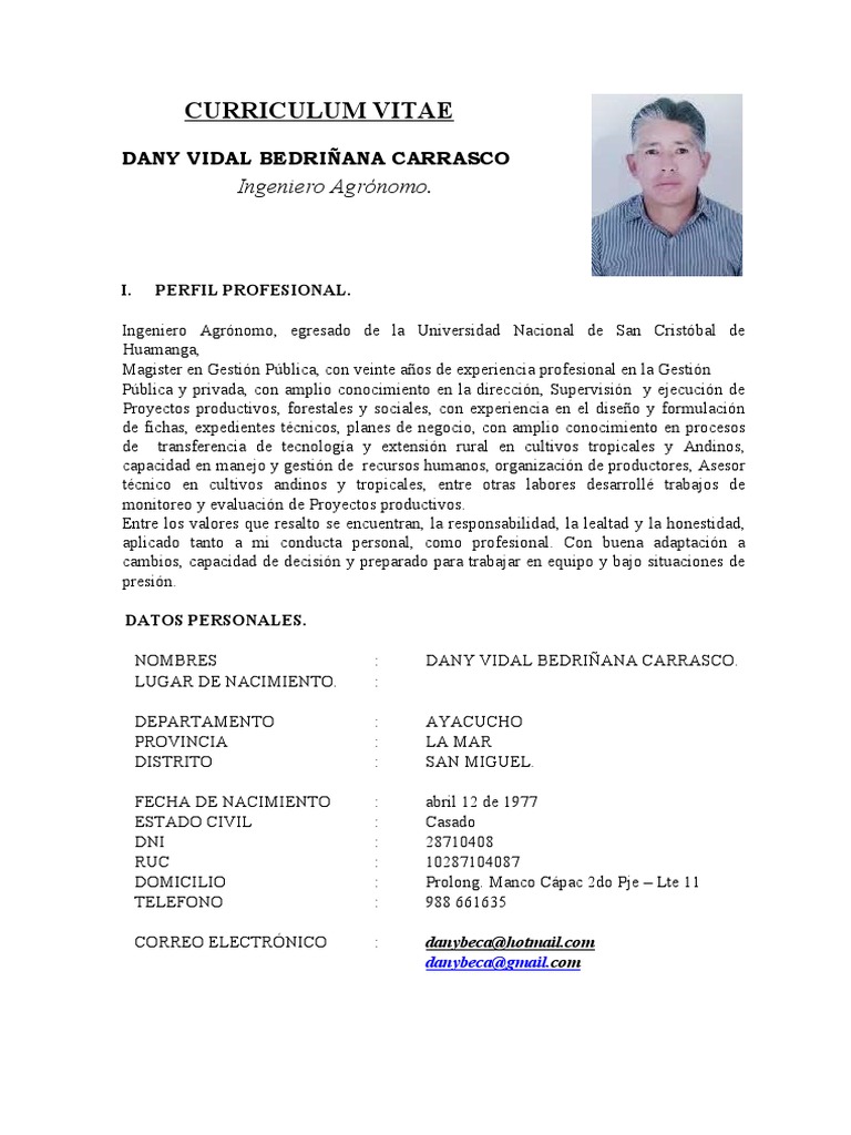 Curriculum Vitae Dany 2023 | PDF | Agronomía | Administración Pública