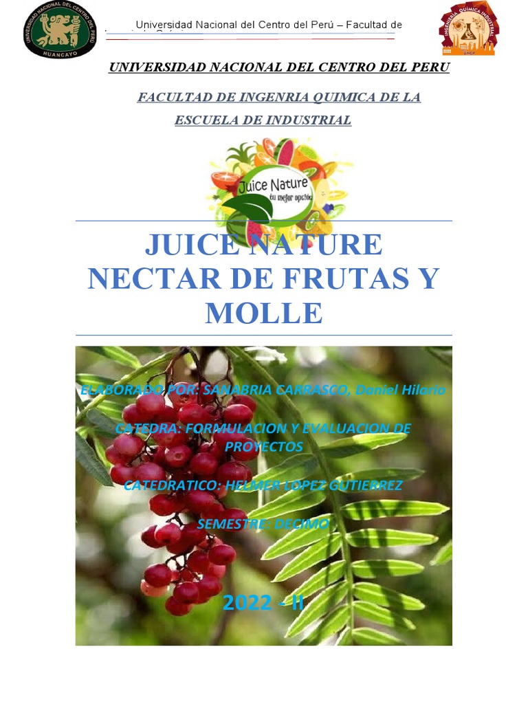 Formulacion de Proyectos - Nectar de Frutos de Molle | PDF | Alimentos ...