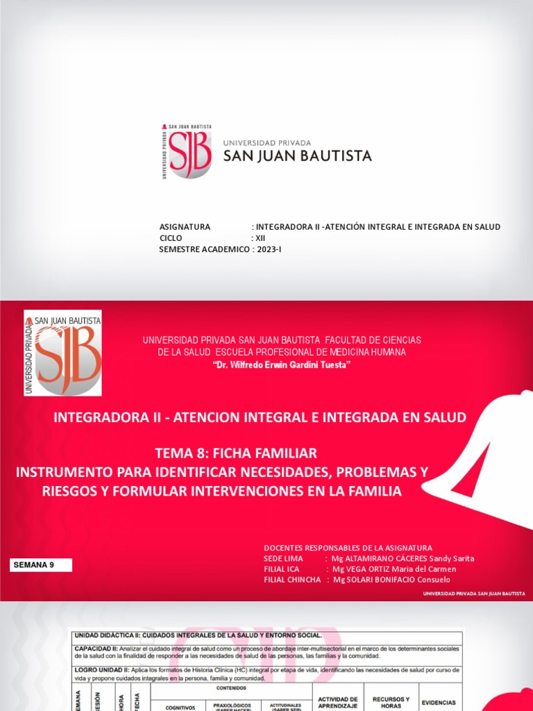 Sem 9 - Teoria 8 Ficha Familiar - Necesidades e Intervenciones | PDF | Familia | Las emociones