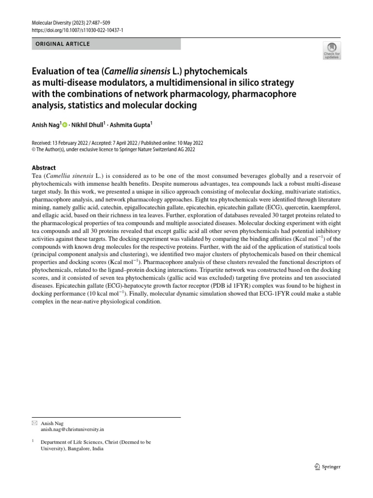 Anish Nag Nikhil Dhull Ashmita Gupta: Original Article | PDF | Docking ...