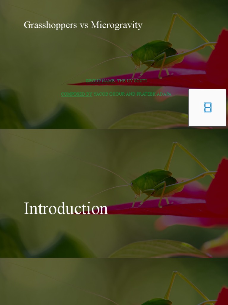 Grasshoppers Vs Microgravity22 | PDF | Laboratories | Personal Protective Equipment