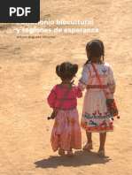 4 Regiones Bioculturales de México y Porque Son Regiones Bioculturales ...