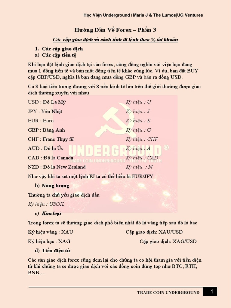 Cách tính pip lot và cách đi lệnh theo % tài khoản | PDF