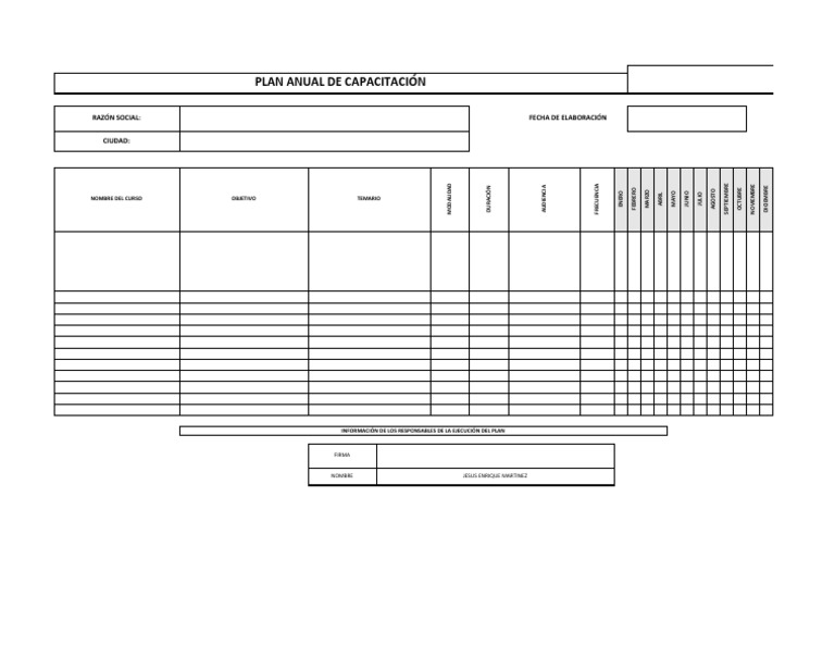Formato Plan Anual de Capacitación | PDF