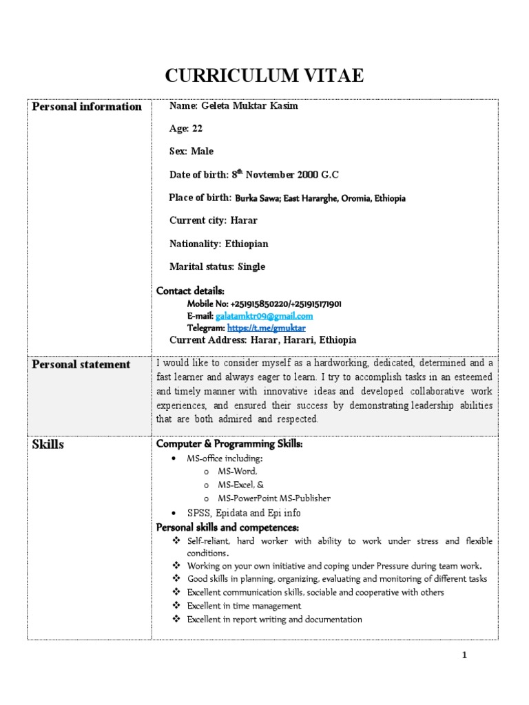 CV Terera | PDF | Fluency | Cognitive Science