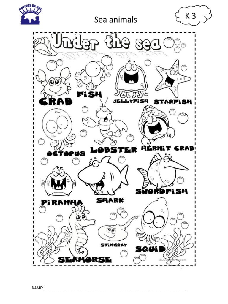 Sea Animals k3 | PDF | History