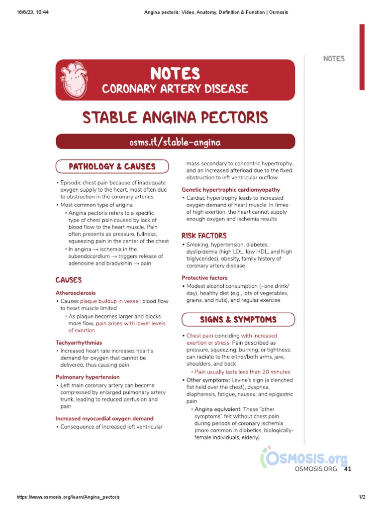 Stable Angina Video, Anatomy, Definition & Function - Osmosis | PDF