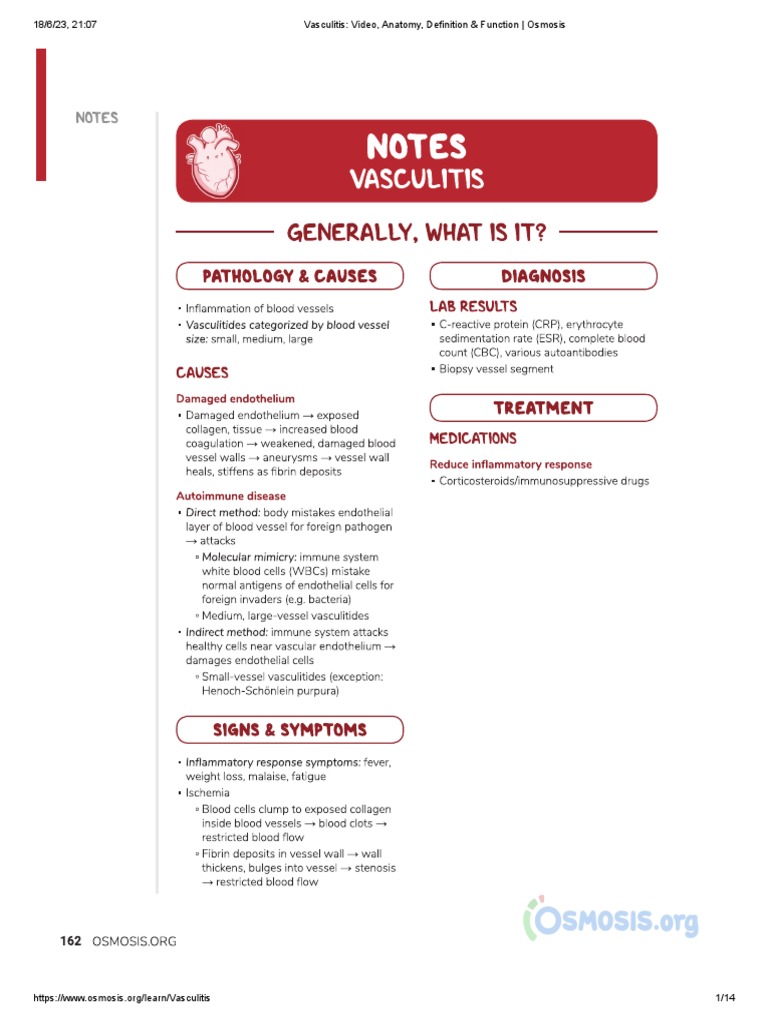 Vasculitis Video Anatomy Definition Function Osmosis Pdf