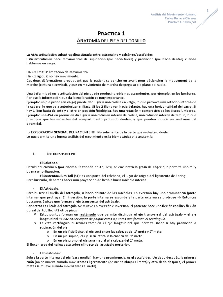 Anatomia Del Pie y Del Tobillo | PDF | Pie | Tobillo