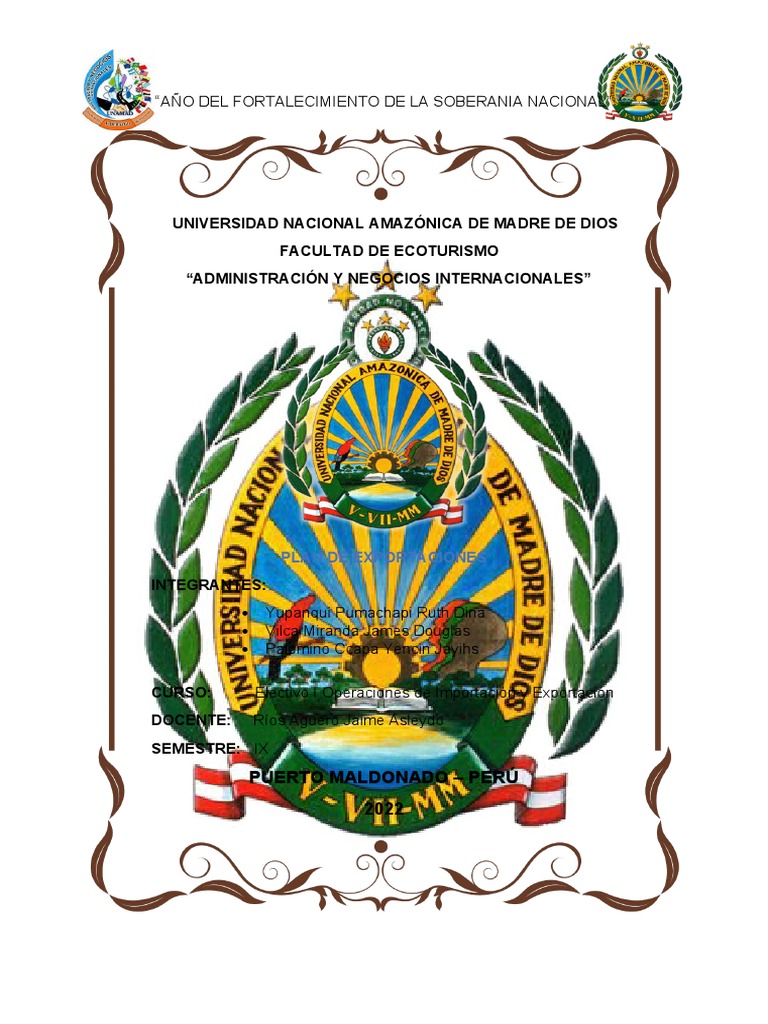 Avance Del Word Grupo 9 Electivo I | PDF | Exportaciones | Business