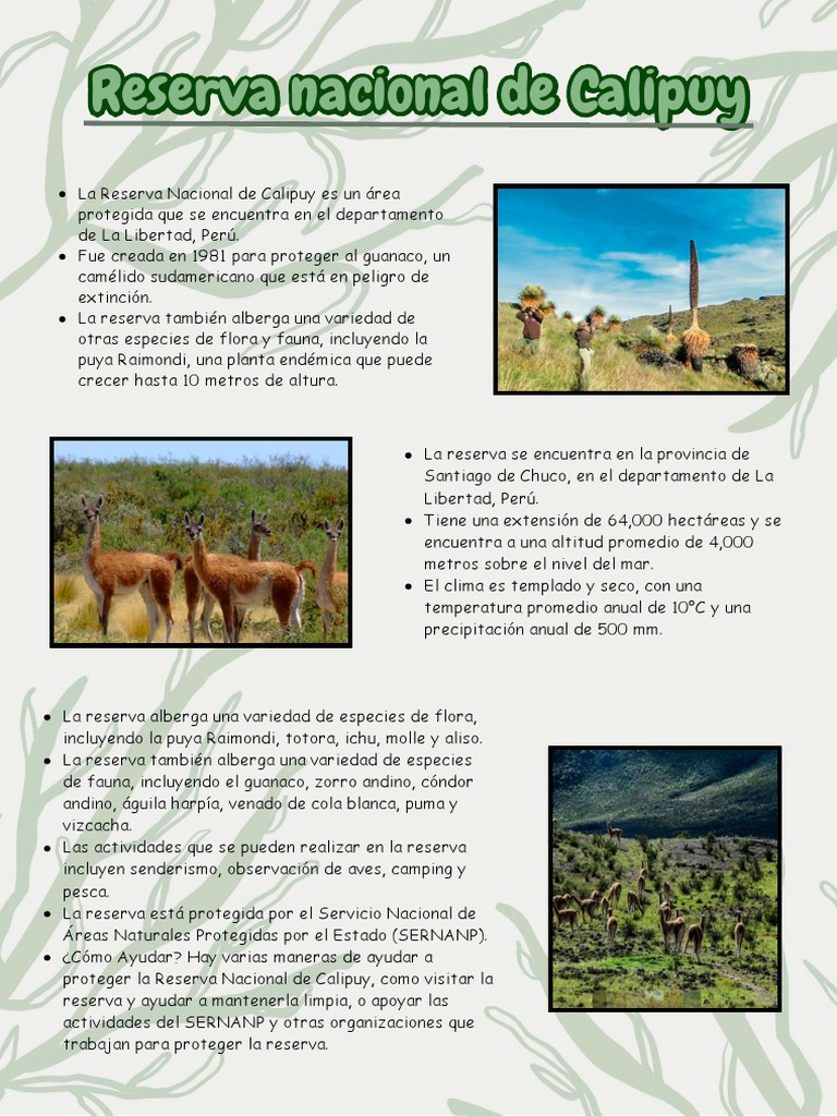 Reserva Nacional de Calipuy | PDF | Sociedad | Sistemas politicos