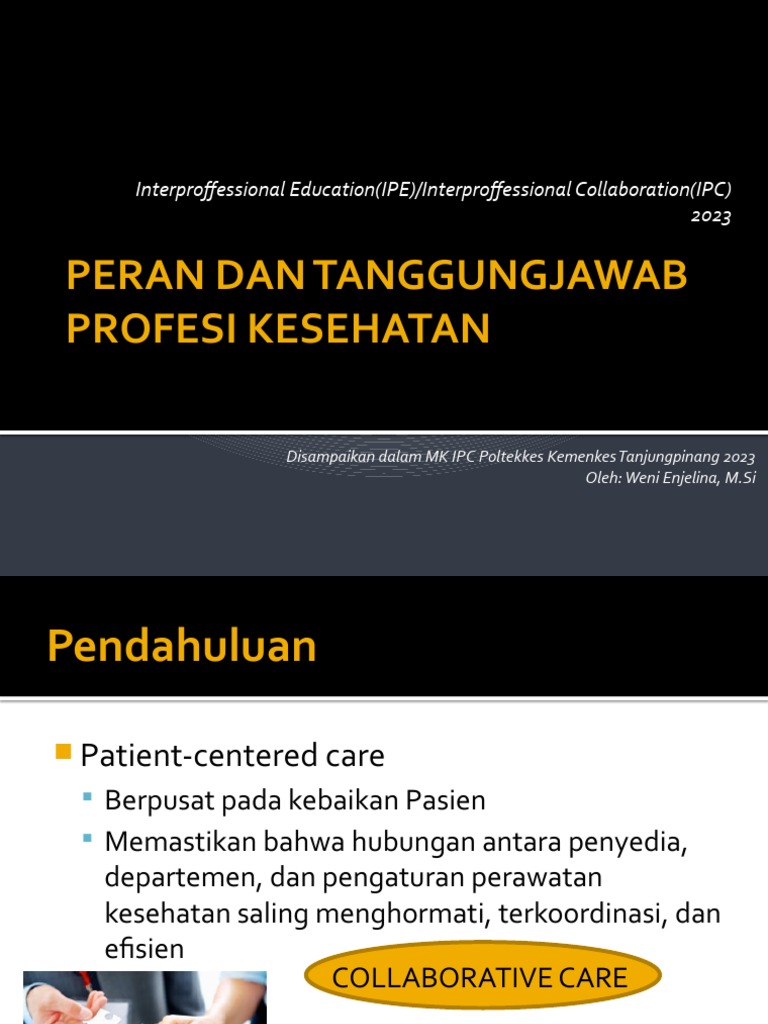 Peran Dan Tanggungjawab Profesi-Ipe | PDF