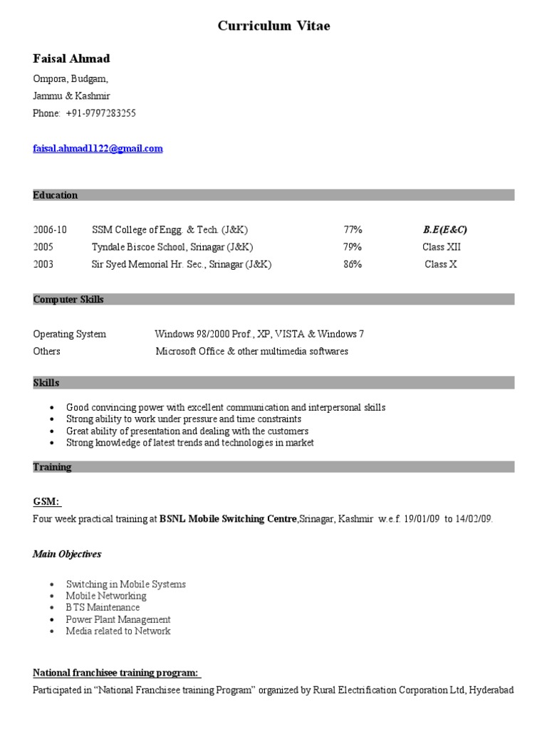 Faisal Ahmad's Professional CV | PDF