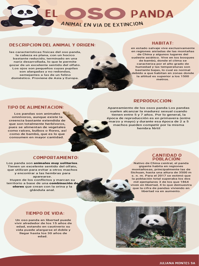 Infografia Evolucion Humana Ilustrado Colores Neutrales | PDF | Panda ...