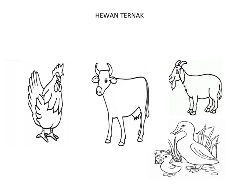 Hewan Ternak | PDF