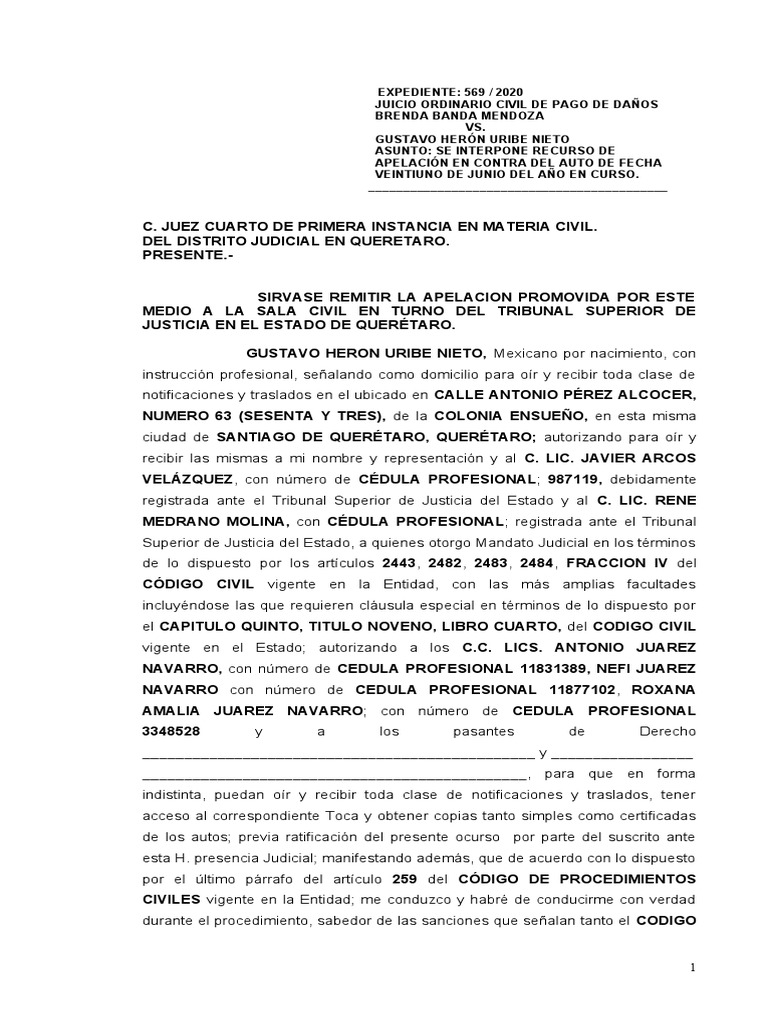 Recurso de Apelacion Civil | PDF | Ley procesal | Apelación