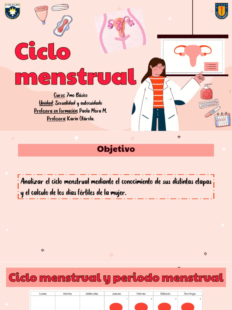 Ciclo Menstrual | PDF