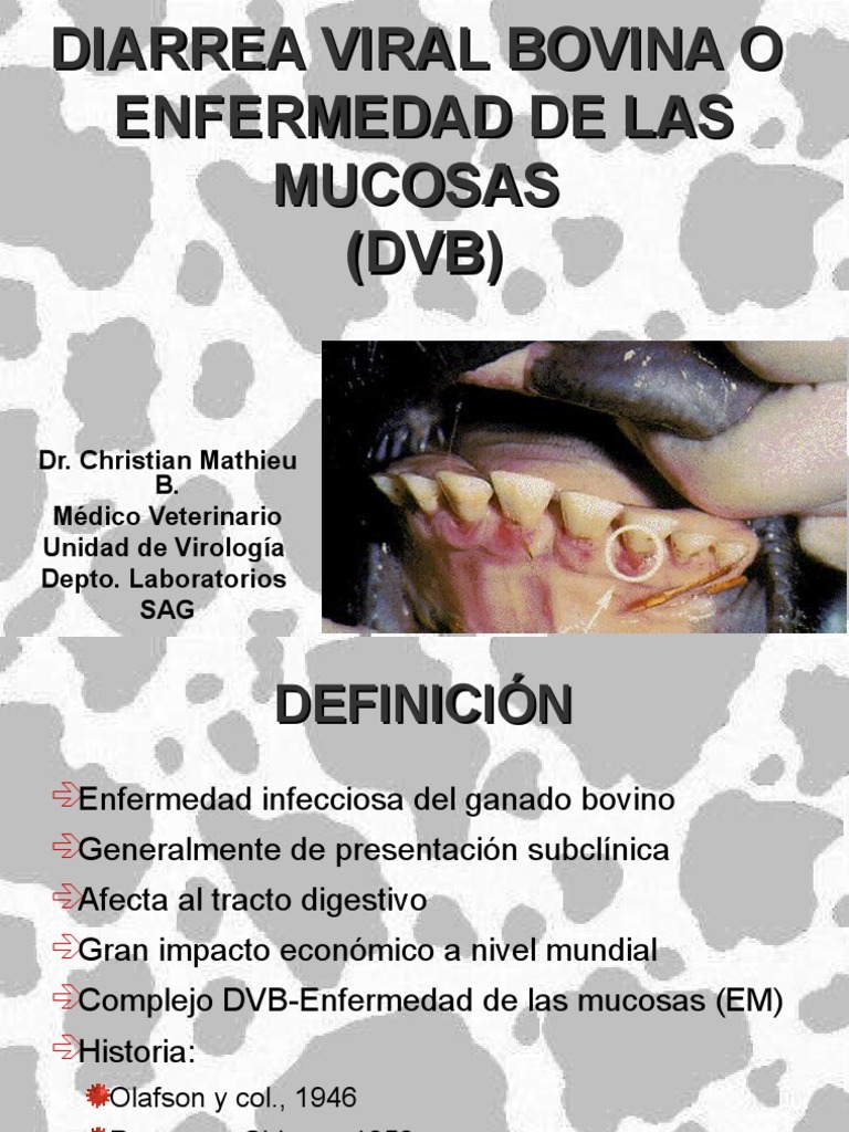 Diarrea Viral Bovina: Causas y Síntomas | PDF | Virus | Diarrea