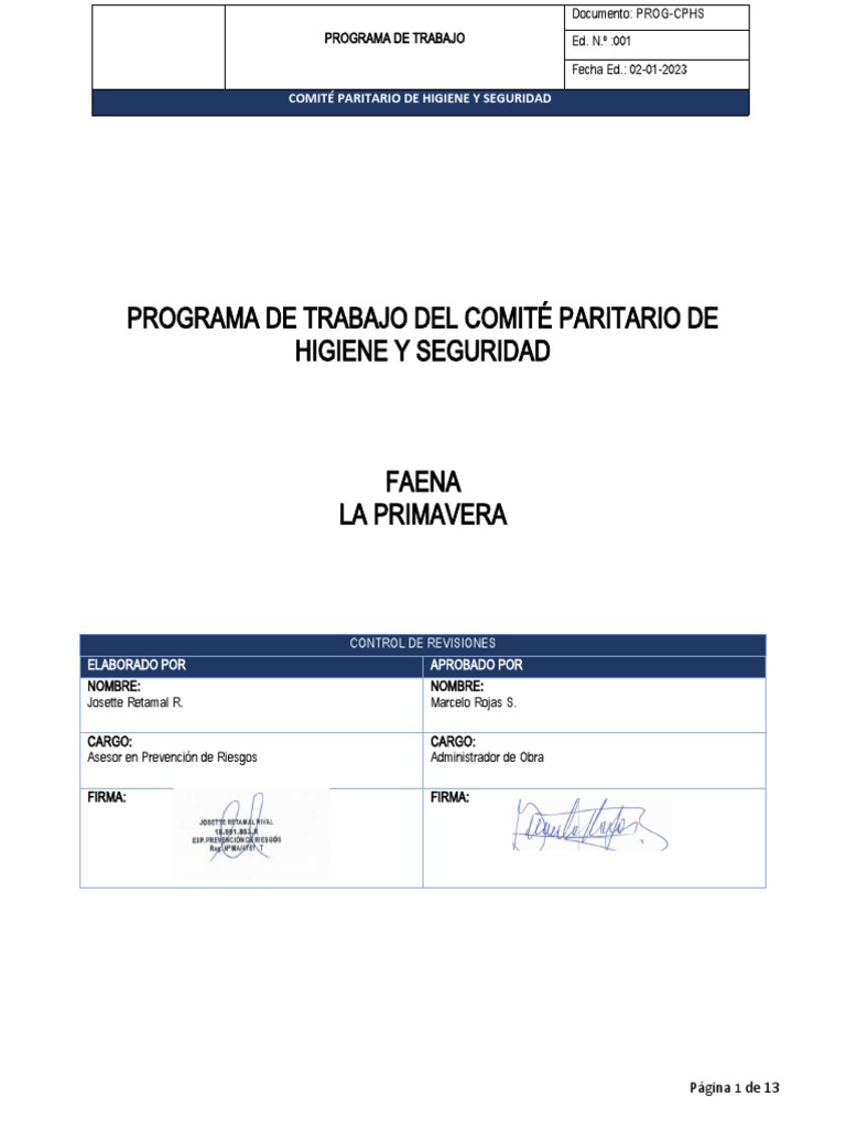 Programa Del CPHS | PDF | Seguro | Higiene