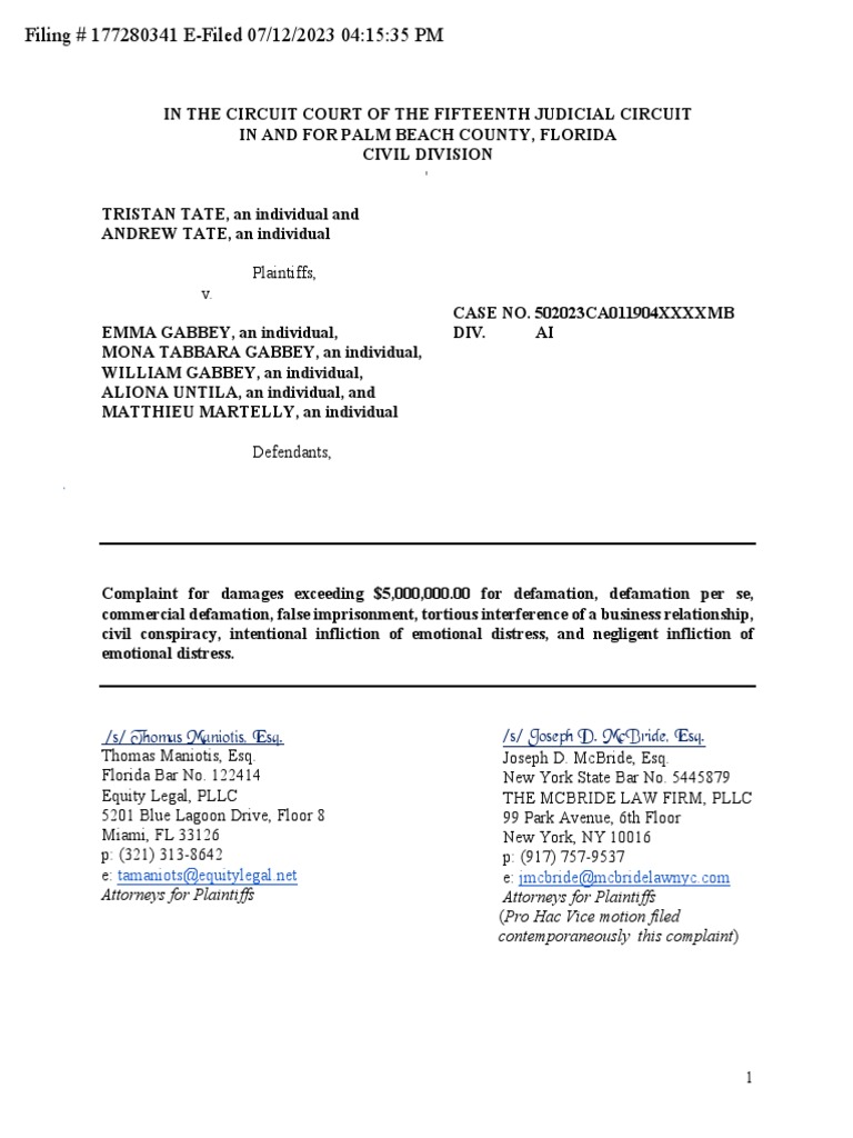 Complaint - Tate v Gabbey | PDF