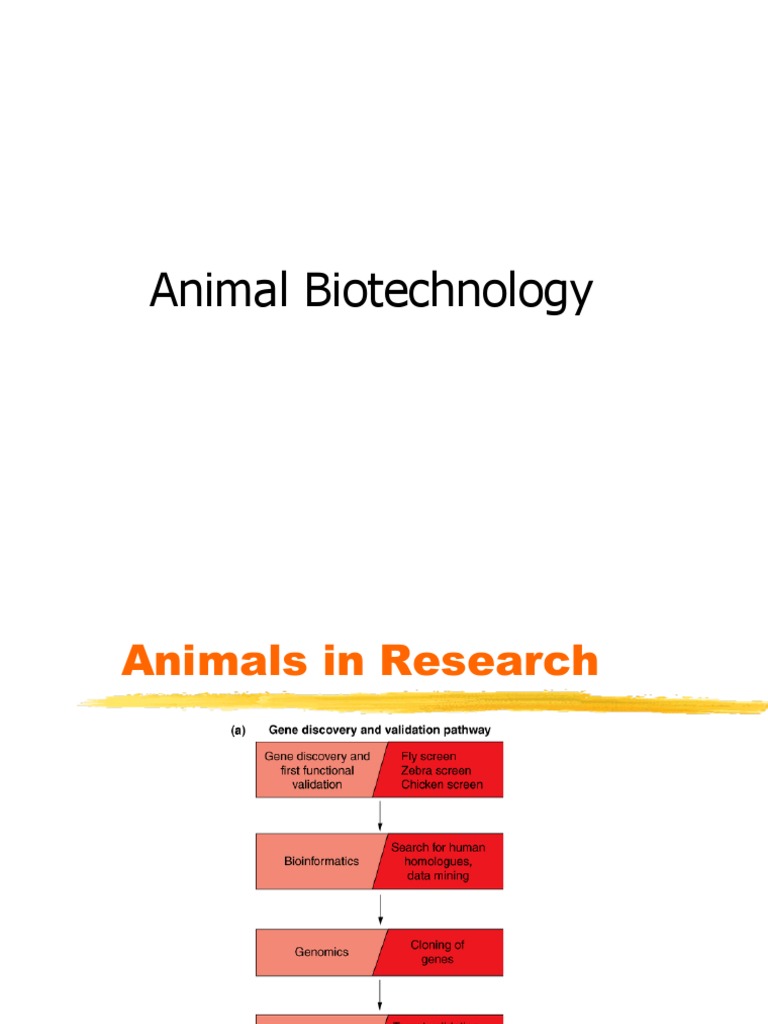Animal Biotechnology | PDF | Cloning | Genetically Modified Organism