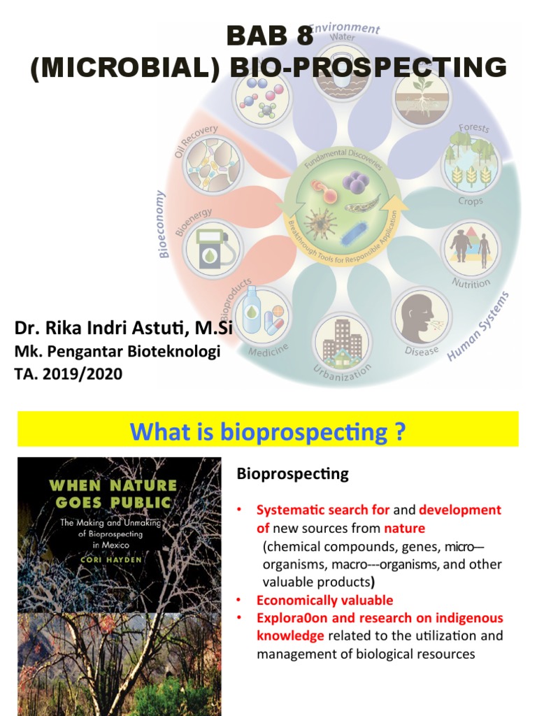 Microbial Bioprospecting Overview | PDF | Metabolism | Bacteria