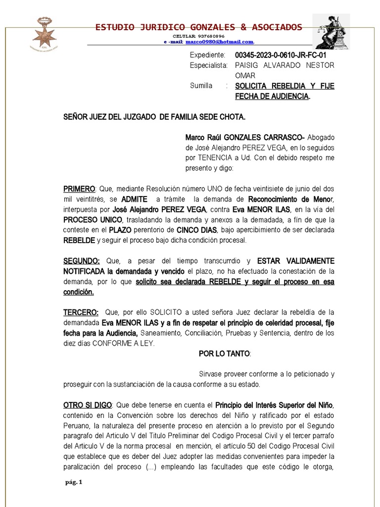 Solicito Rebeldia y Fije Fecha de Audiencia 2023 | PDF | Ley procesal | Demanda judicial