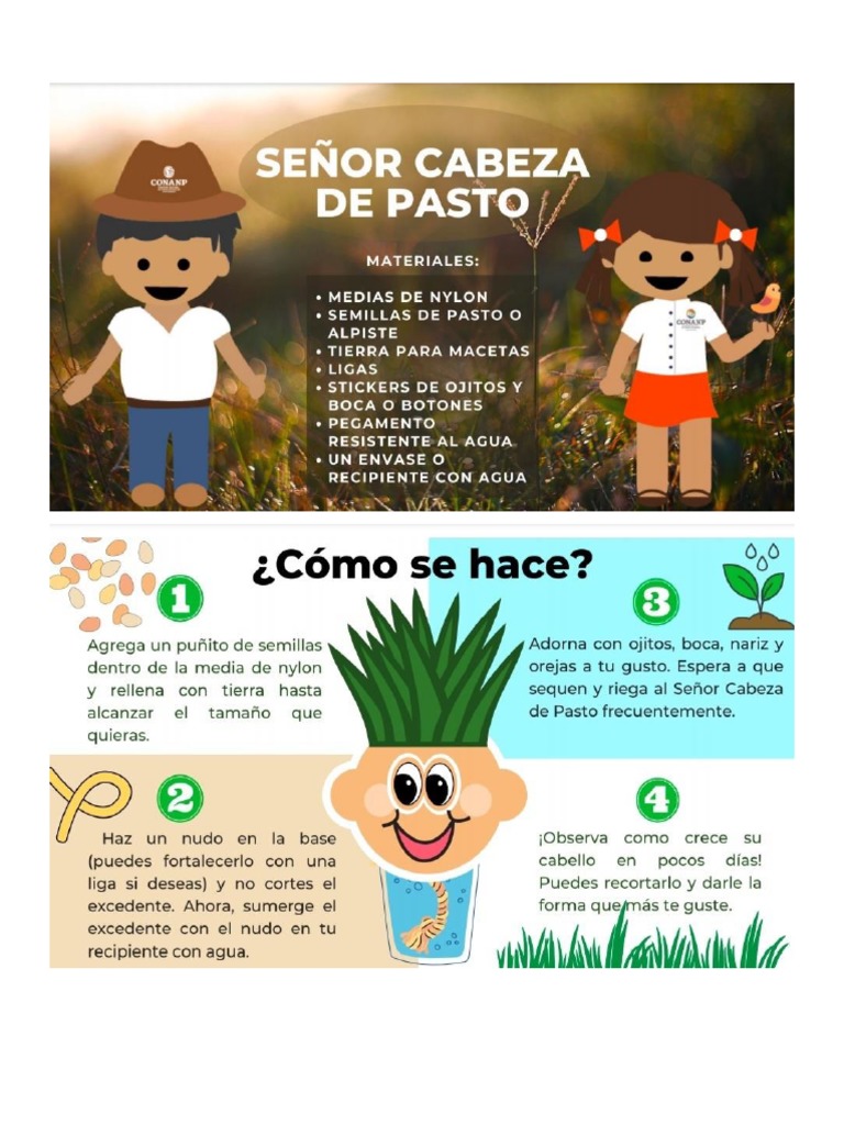 señor cabeza de pasto | PDF