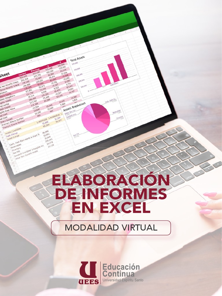 Elaboración de Informes en Excel | PDF | Microsoft Excel | Marketing