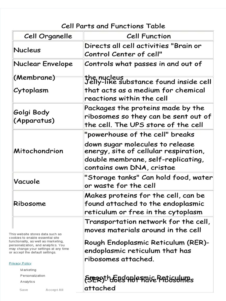 PDF Cell Parts and Functions Table - Compress | PDF | Endoplasmic ...