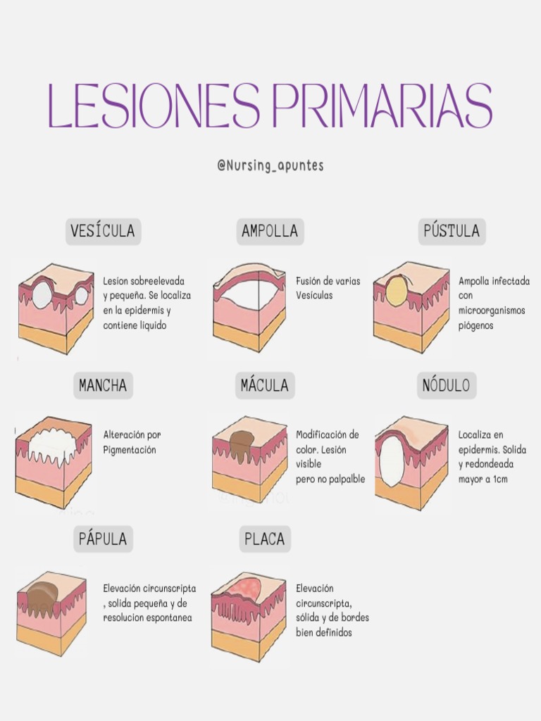 Tipos de Lesiones Primarias en la Piel | PDF