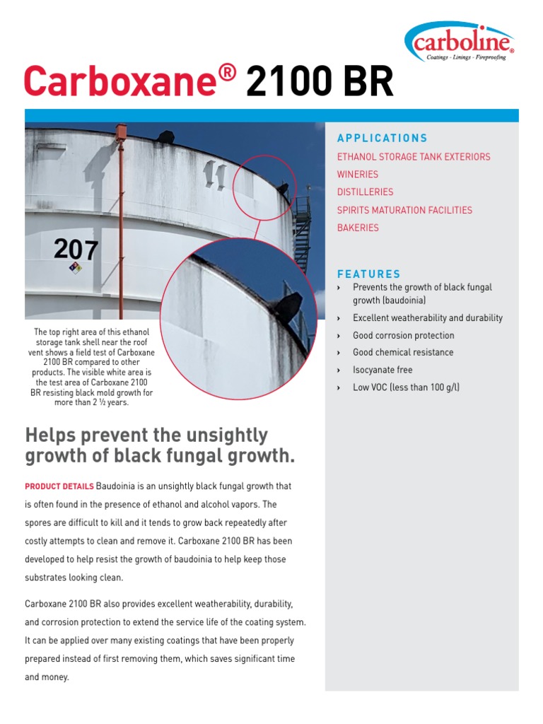Carboxane 2100 BR Product Flyer | PDF | Corrosion | Materials