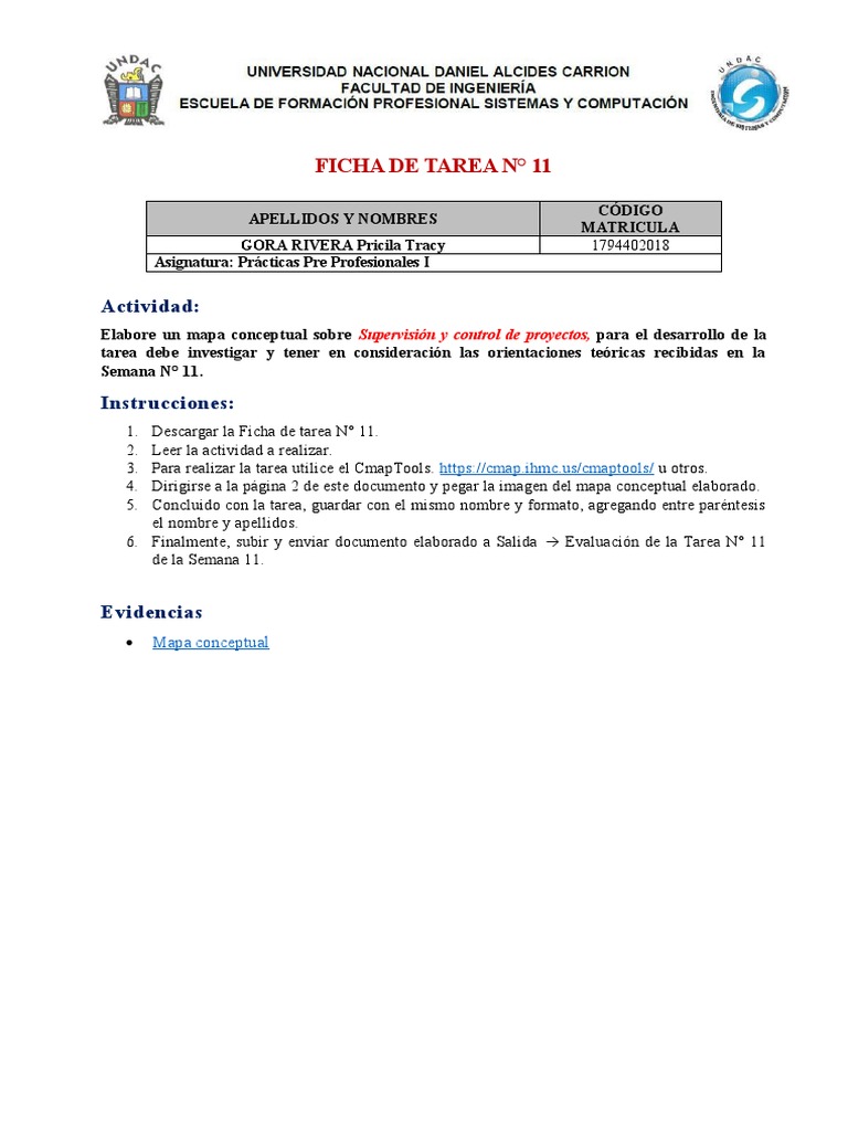 Ficha de Tarea #11. Mapa Conceptual (Apellidos y Nombres) | PDF