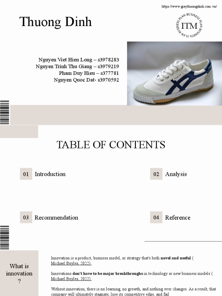 Thuong Dinh ppt-1 | PDF | Marketing | Fashion