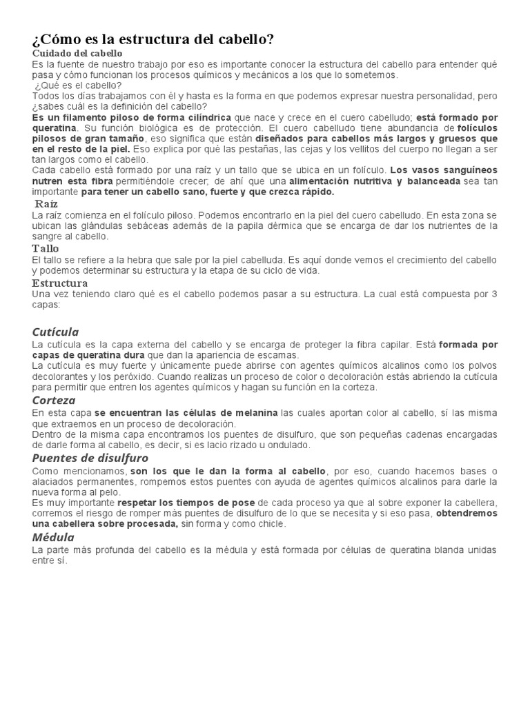 Estructura del Cabello y sus Partes | PDF | Pelo | Sistema tegumentario