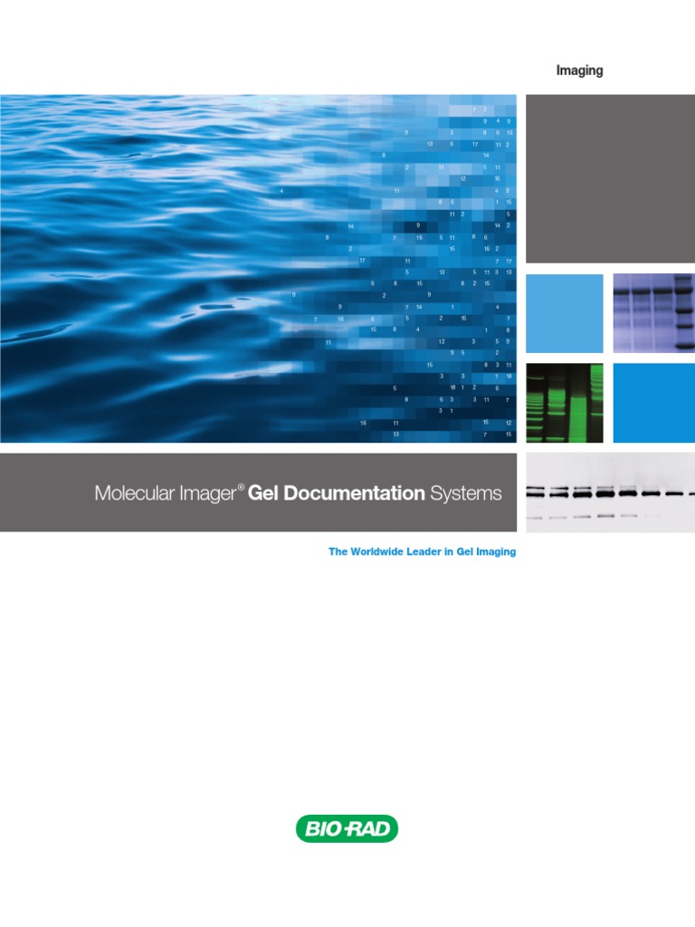 Bio-Rad Imager | PDF | Pixel | Charge Coupled Device