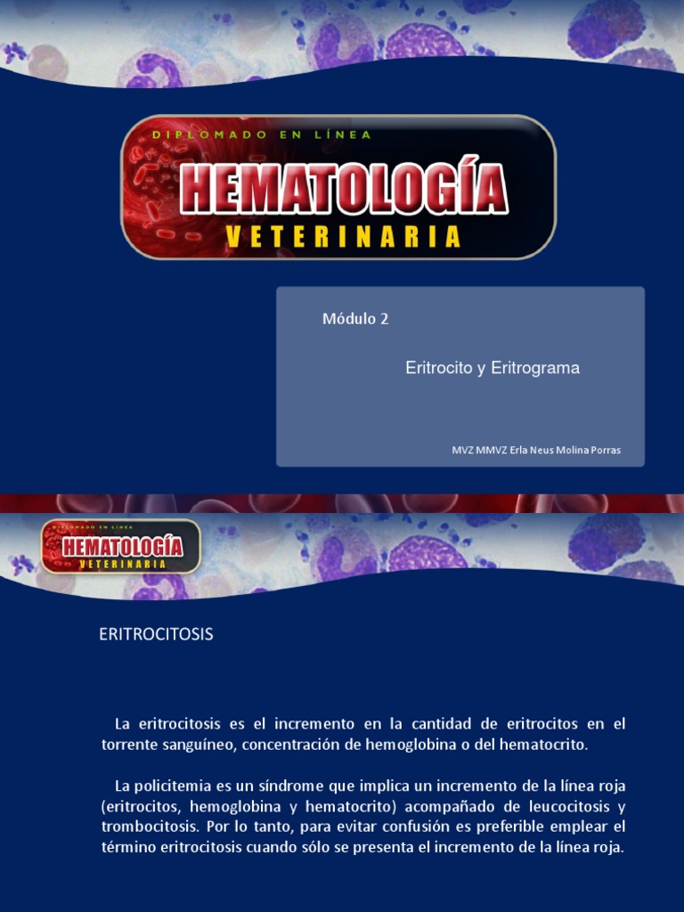 Clasificación y diagnóstico de eritrocitosis | PDF | Leucocito ...