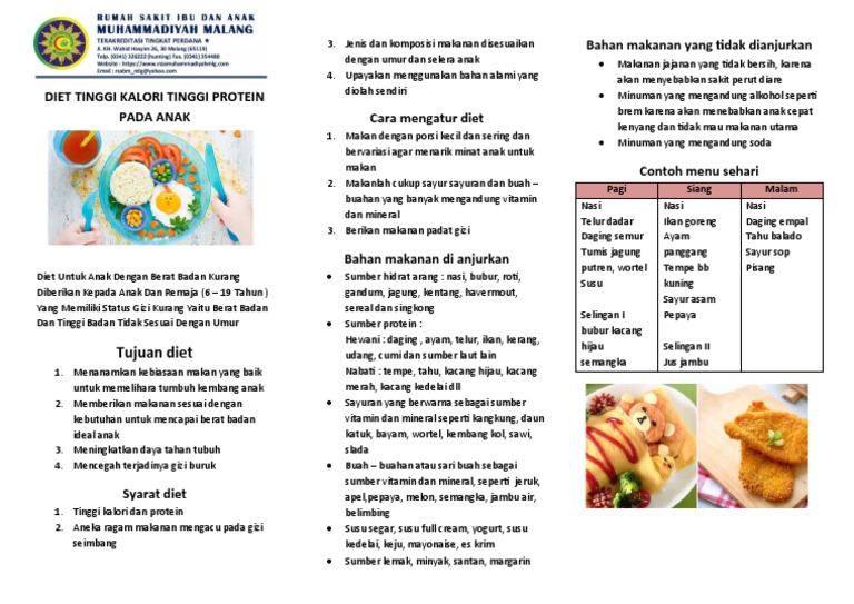Diet Tinggi Kalori Tinggi Protein Anak | PDF