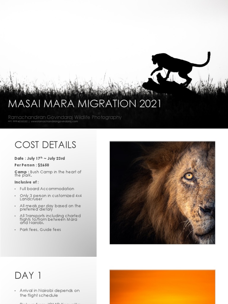 Masai Mara Migration 2021 | PDF
