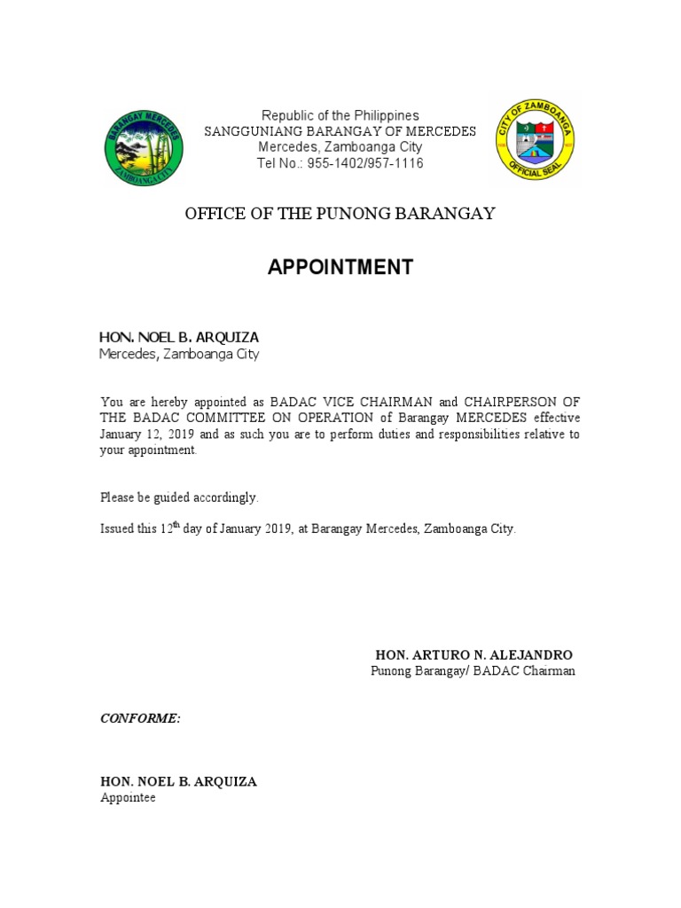 Appointment BADAC | PDF | Philippines