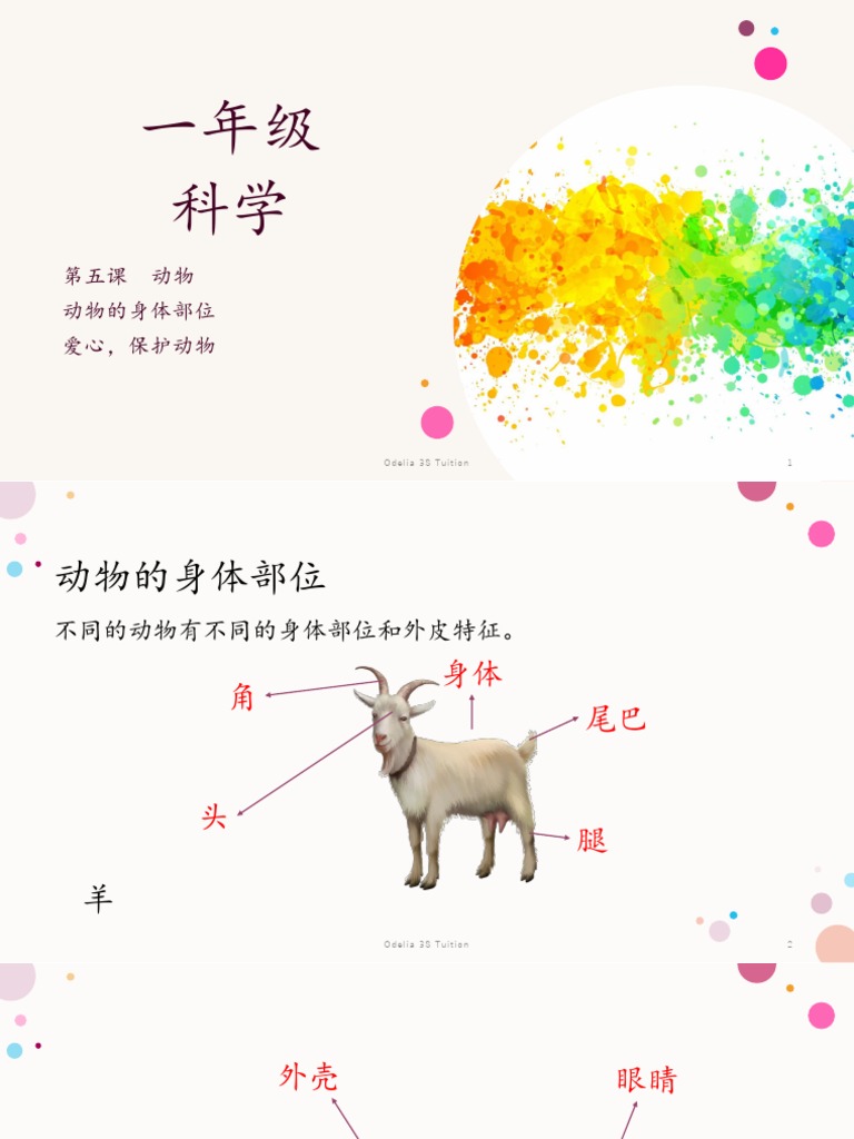 STD1科学 0717动物 | PDF