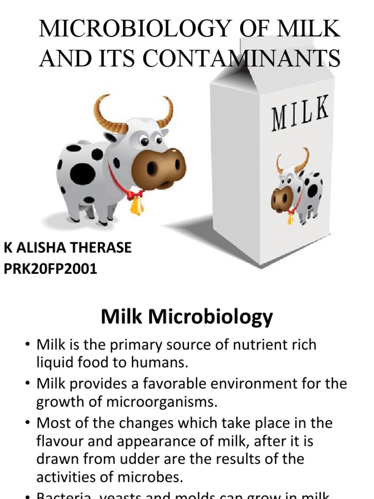Microbiology of Milk and It's Contaminants | PDF | Milk | Bacteria