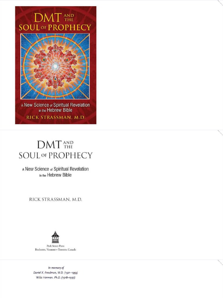 DMT and The Soul of Prophecy - Rick Strassman | PDF