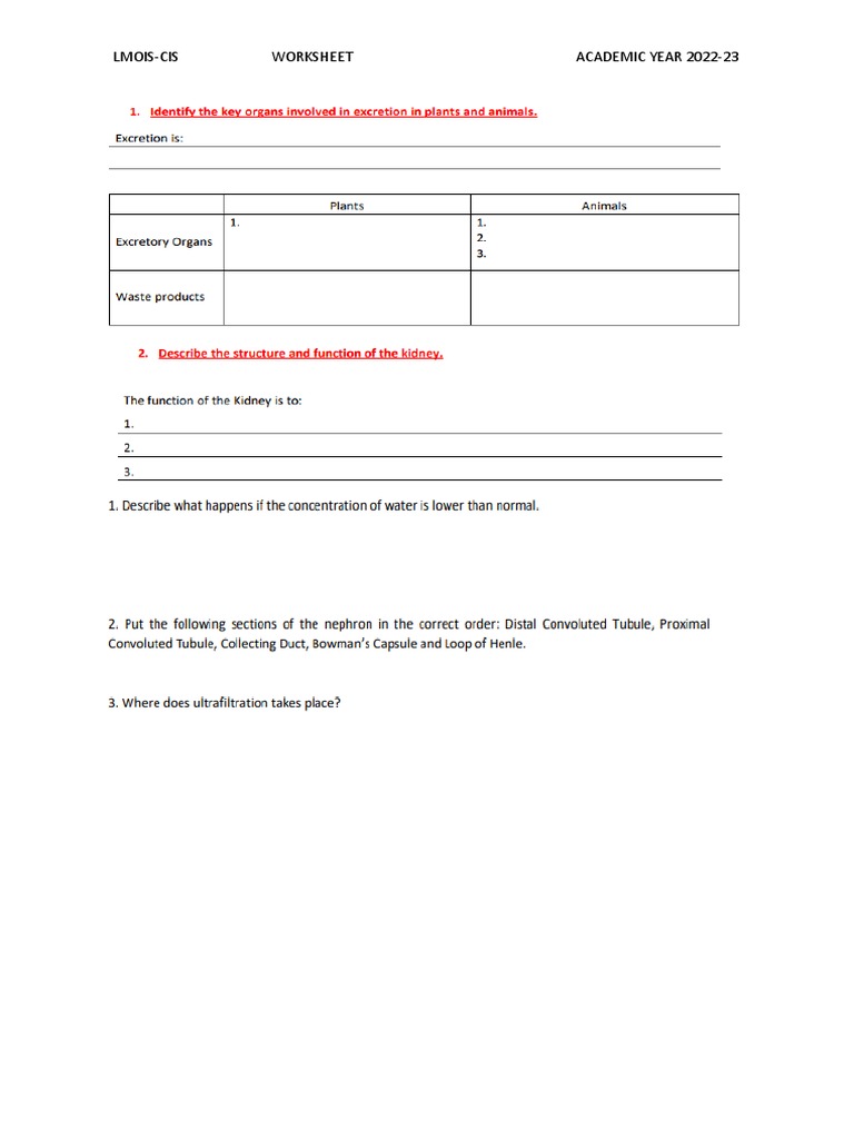 Excretion Worksheet | PDF