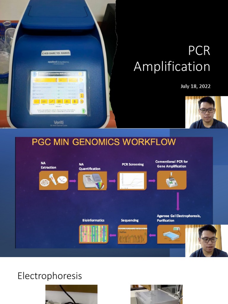 PCR Amplification Students | PDF