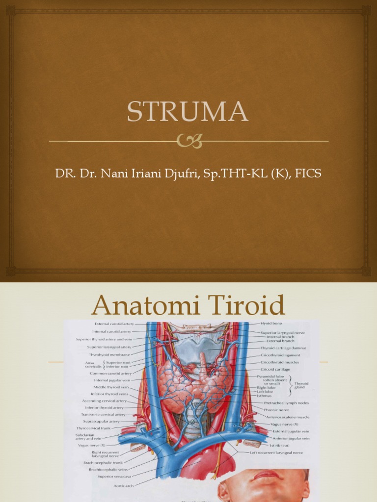 Struma | PDF