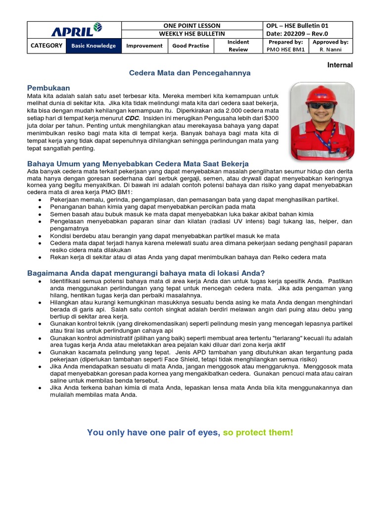 OPL - HSE Bullettin - Eye Injuries and Prevention - Bahasa | PDF