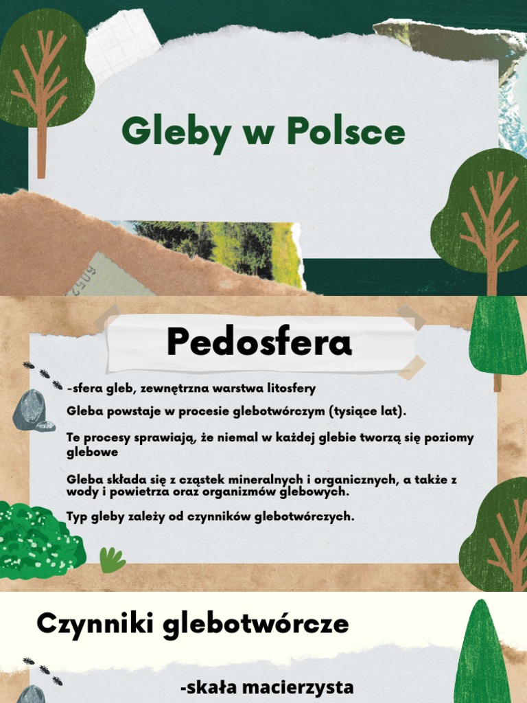 Gleby W Polsce | PDF