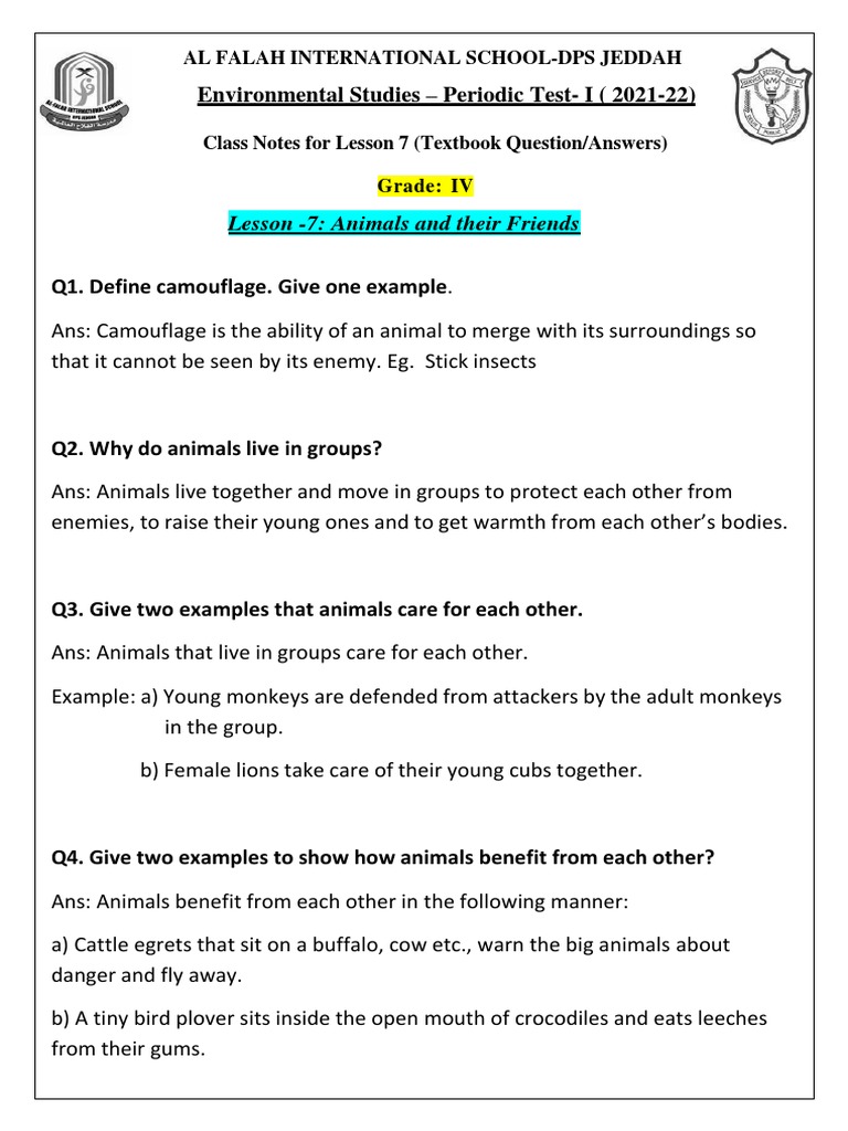 Grade 4 Lesson 7 Notes | PDF | Beehive | Honey