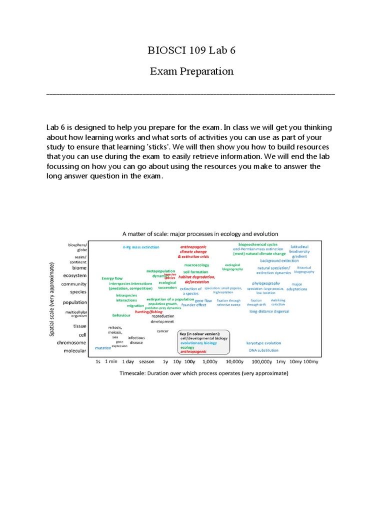 BIOSCI 109 Lab 6 Student Handout | PDF | Concept | Thought